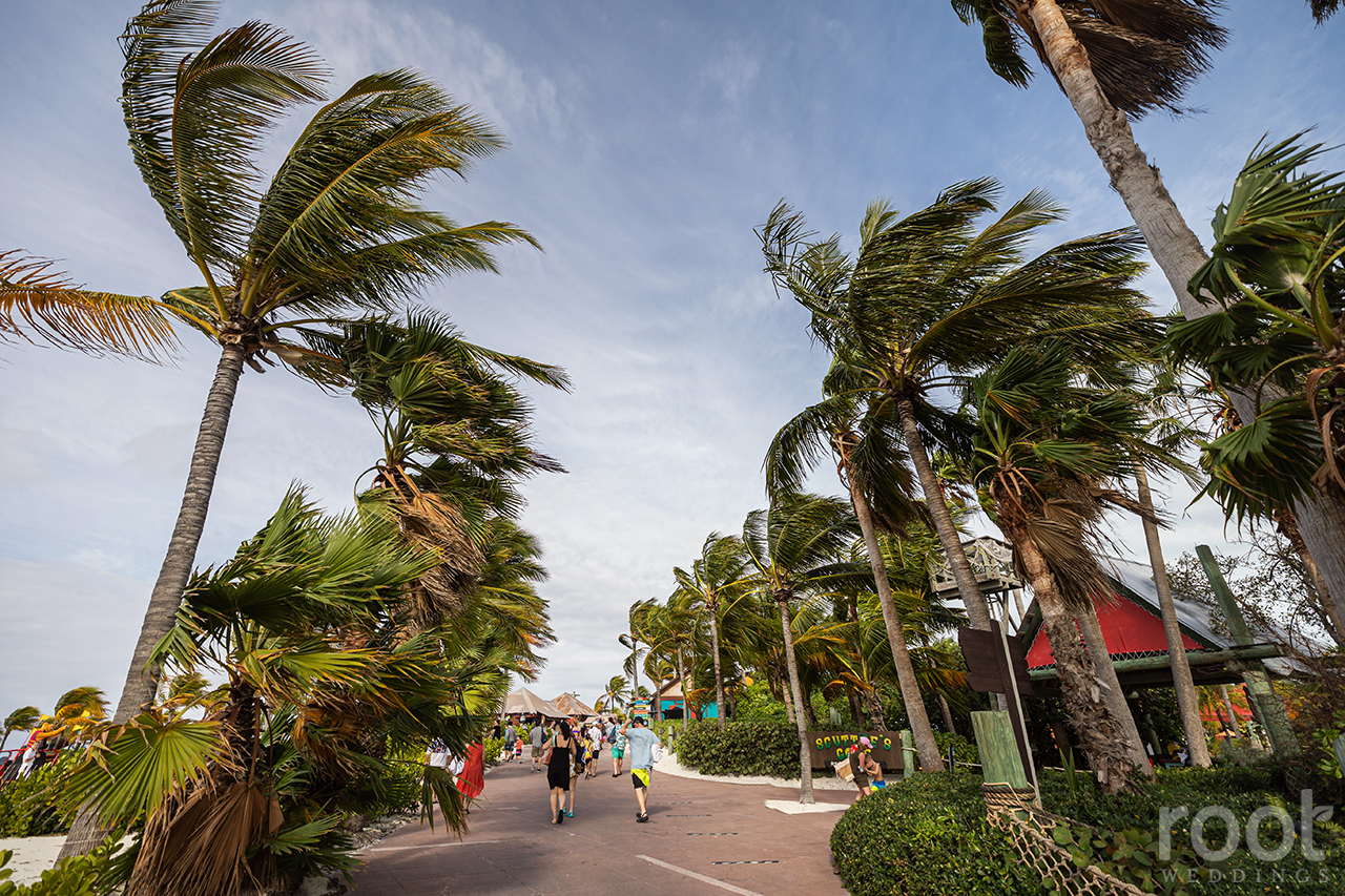 Jena + Scott : Disney Cruise Line Wedding Part II